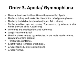 General characters amphibia | PPTX