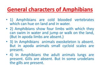 General characters amphibia | PPTX