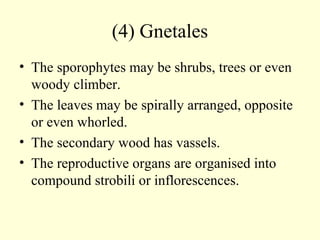 General characters and clasification of gymnosperm | PPT