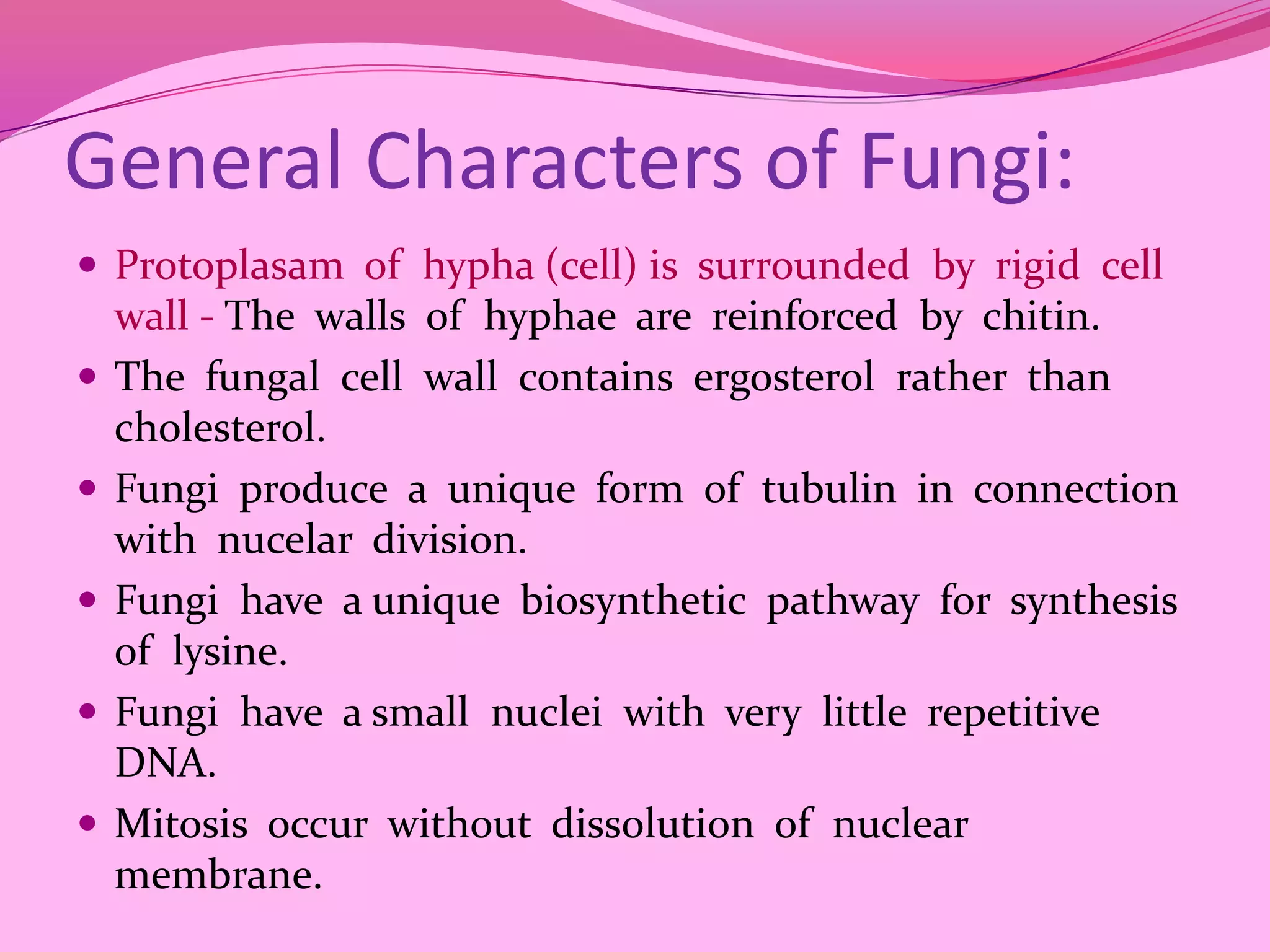 General charactersistics of fungi | PPTX