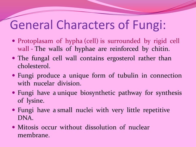 General charactersistics of fungi | PPTX