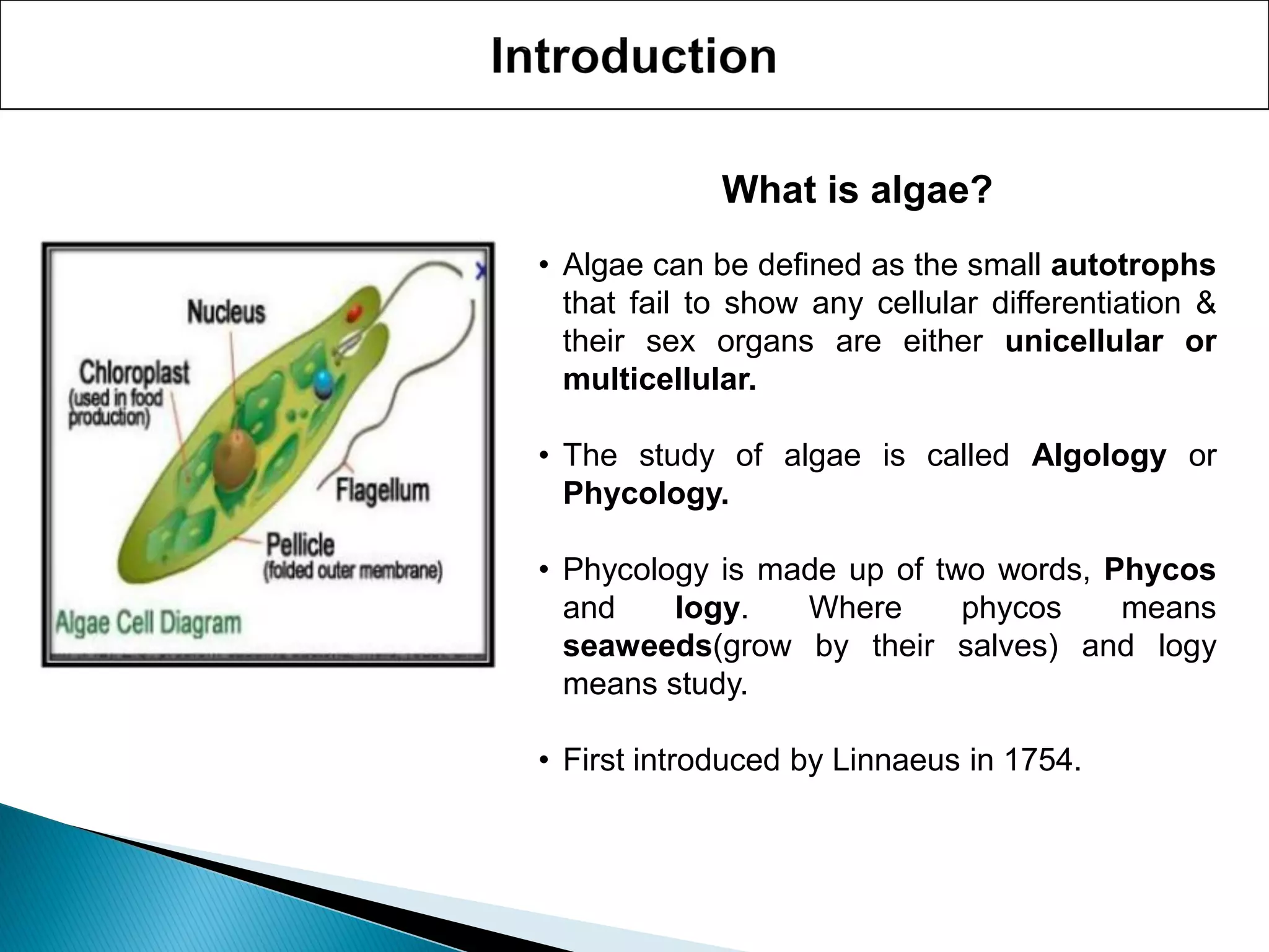 General characters of algae | PDF
