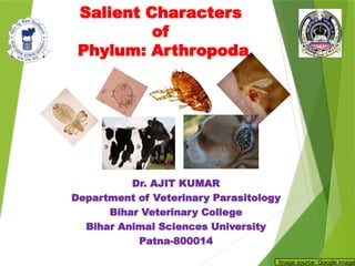 General_Characters_of_Arthropoda in.pptx