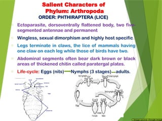 General_Characters_of_Arthropoda in.pptx