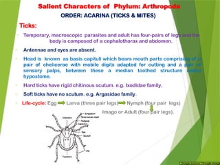 General_Characters_of_Arthropoda in.pptx
