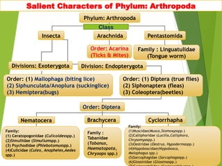 General_Characters_of_Arthropoda in.pptx