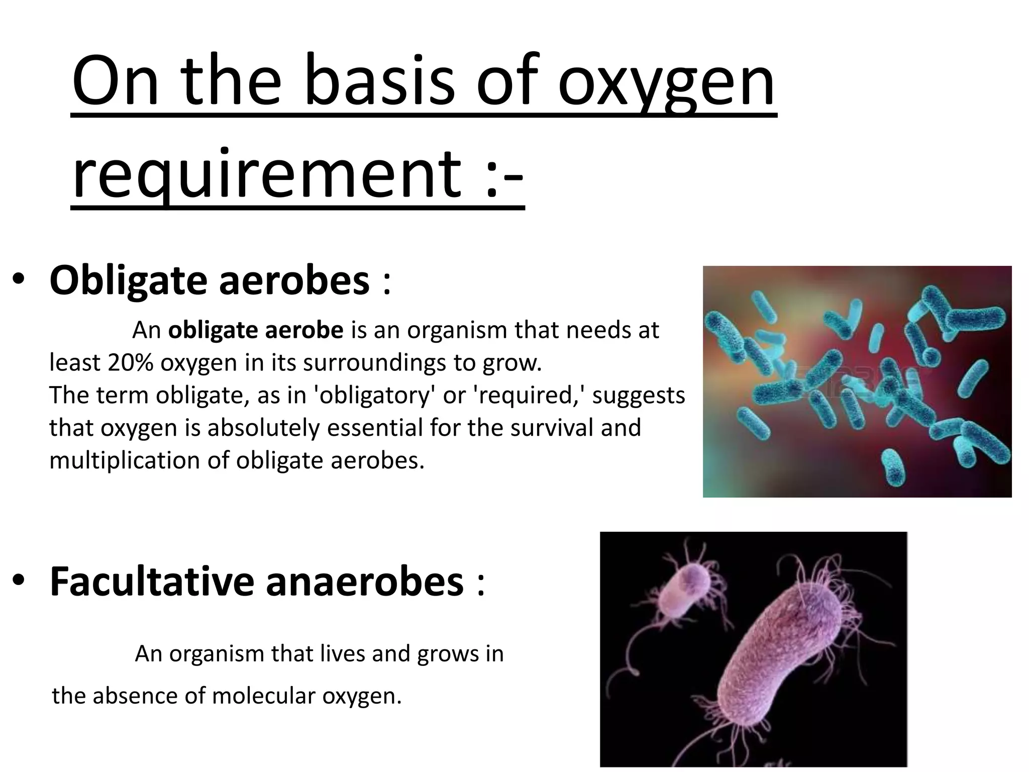 General characters of bacteria and clasification | PPTX