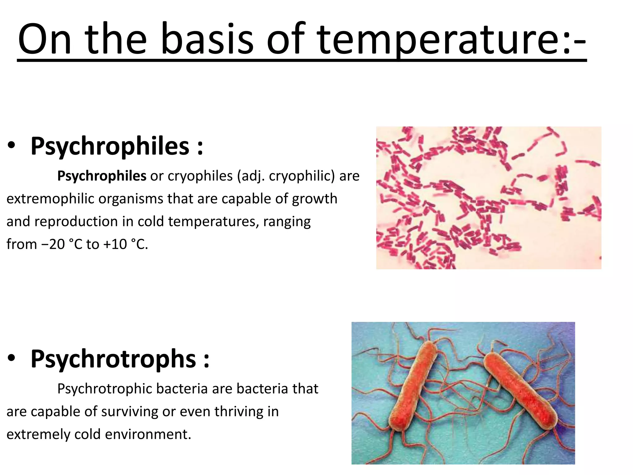 General characters of bacteria and clasification | PPTX