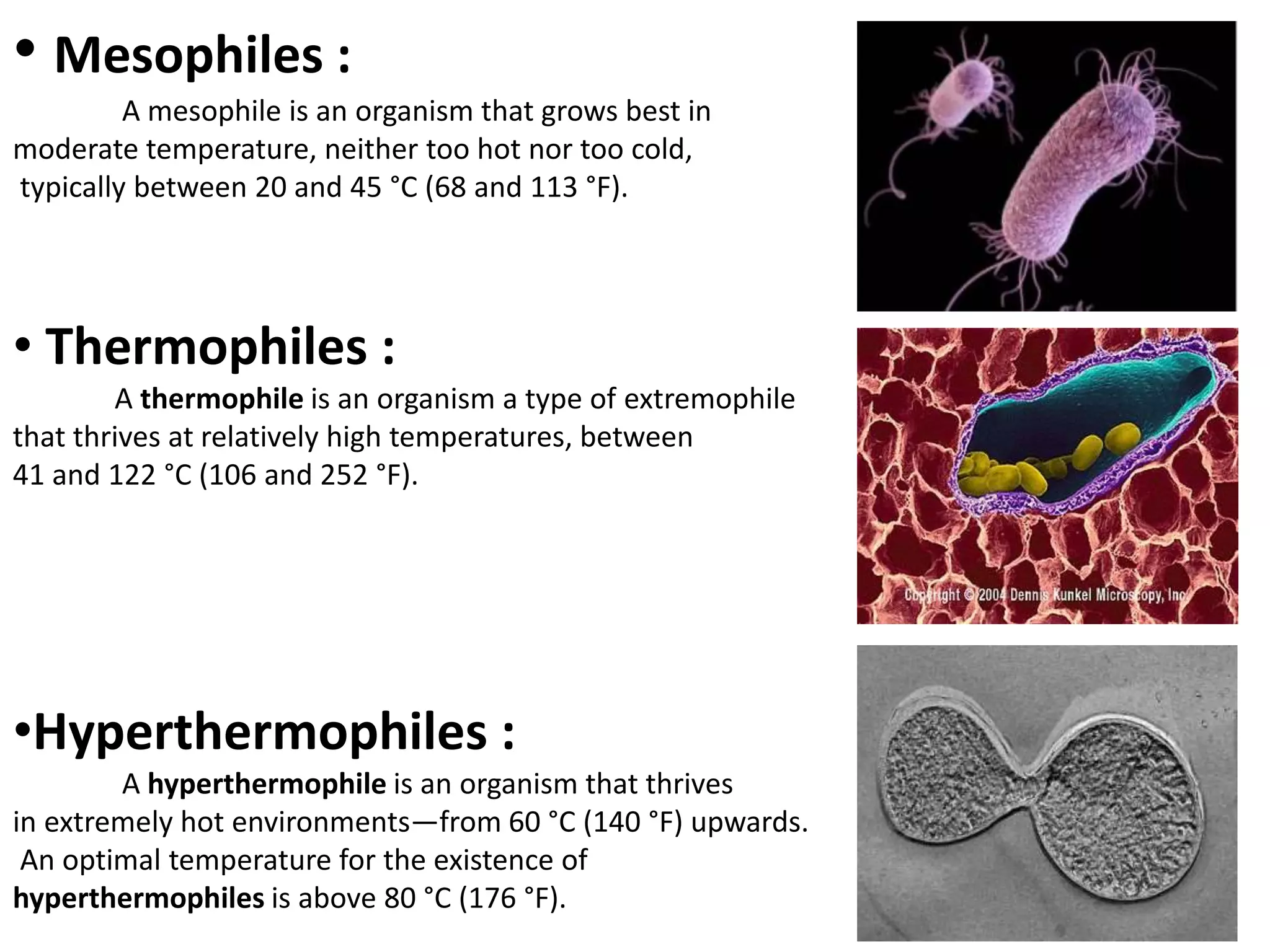 General characters of bacteria and clasification | PPTX
