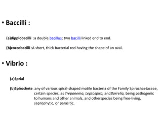 General characters of bacteria and clasification | PPTX