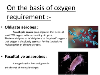 General characters of bacteria and clasification | PPTX