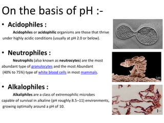 General characters of bacteria and clasification | PPTX