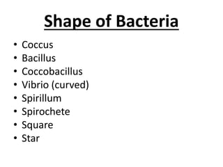 General characters of bacteria and clasification | PPTX