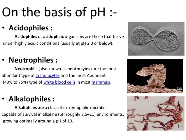 General characters of bacteria and clasification