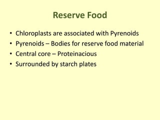 General characters of division chlorophyta 005 | PPTX