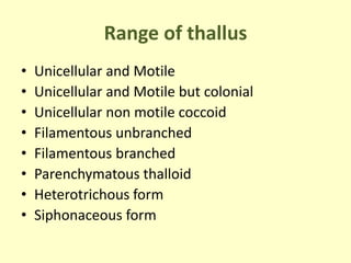General characters of division chlorophyta 005 | PPTX