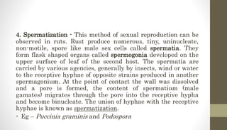General characters of fungi | PPTX
