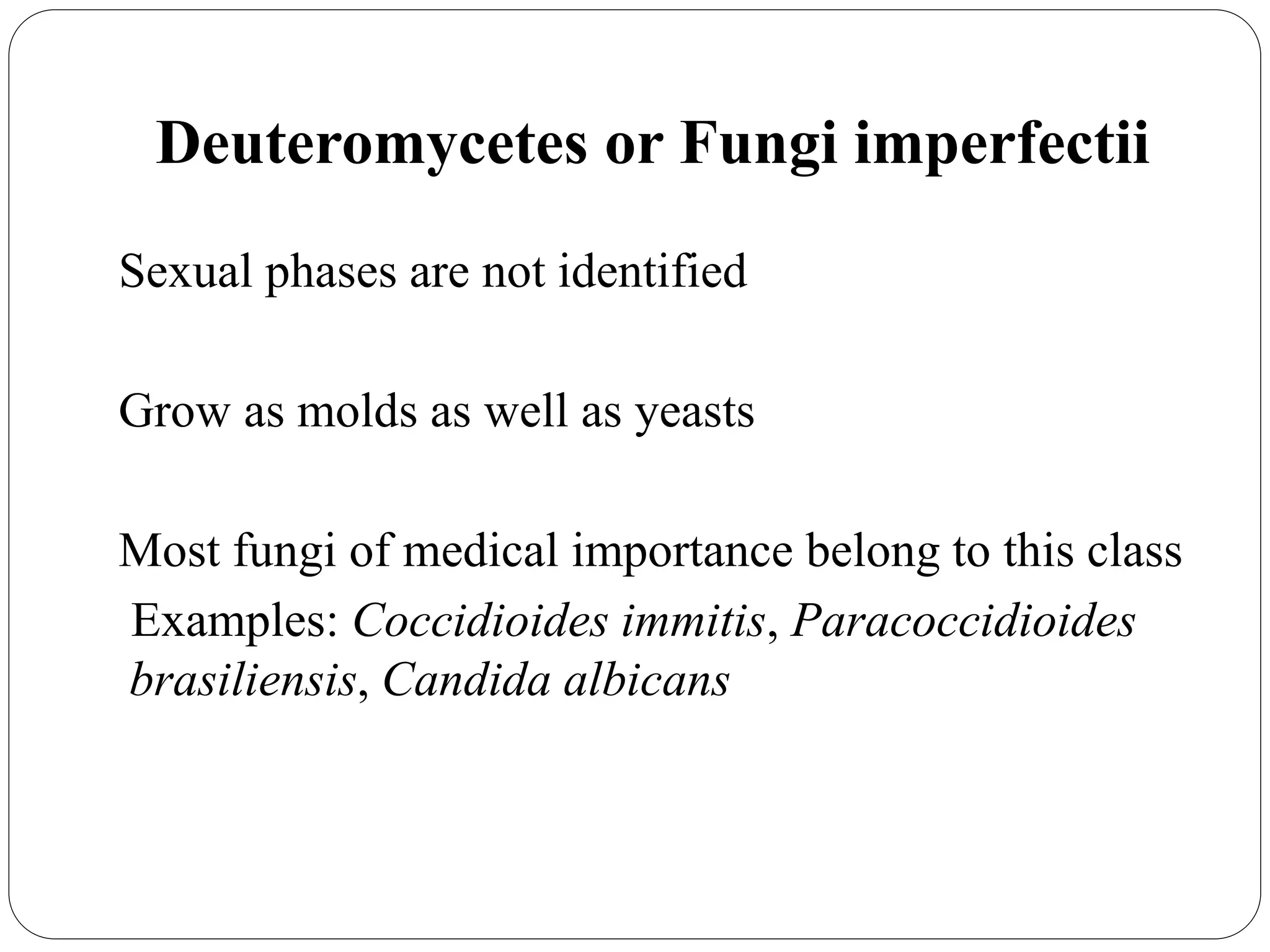 General characters of medically important fungi.pptx
