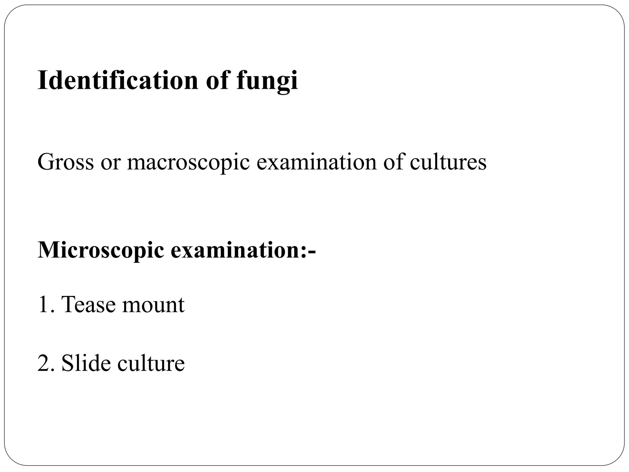 General characters of medically important fungi.pptx