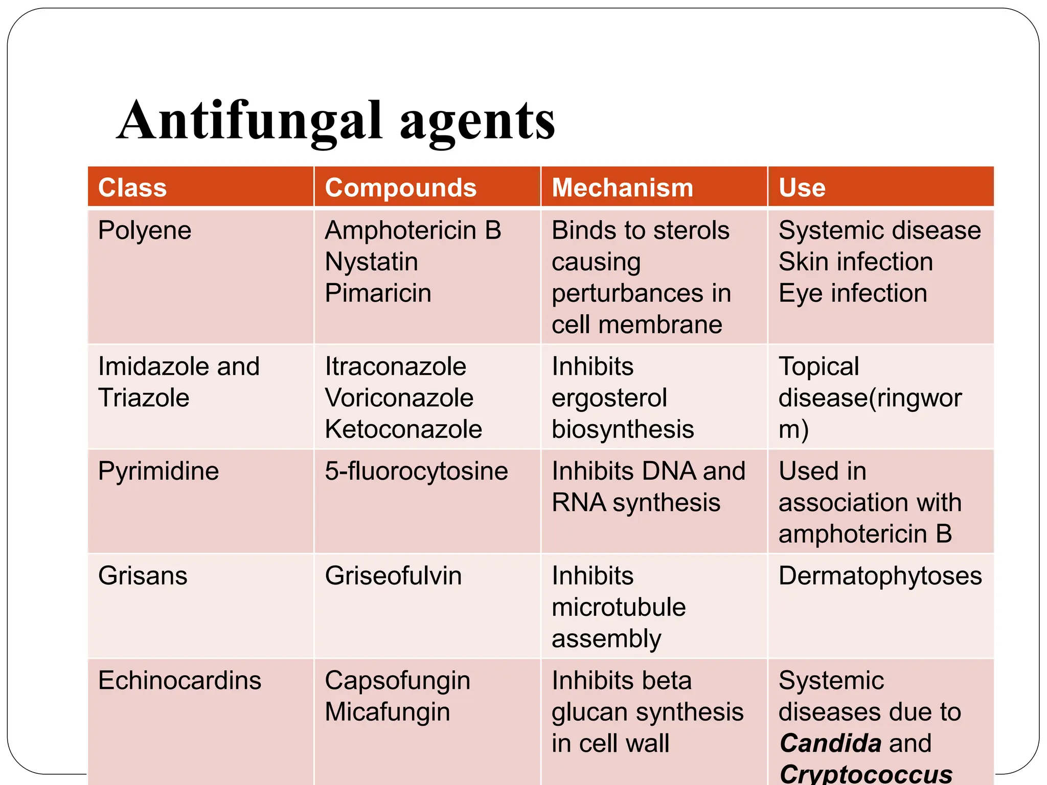 General characters of medically important fungi.pptx