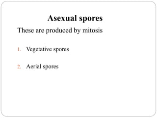 General characters of medically important fungi.pptx