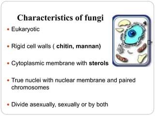 General characters of medically important fungi.pptx