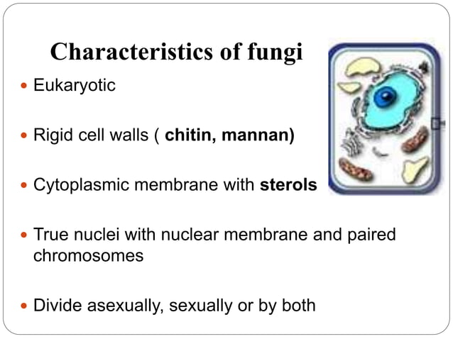 General characters of medically important fungi.pptx