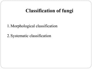 General characters of medically important fungi.pptx