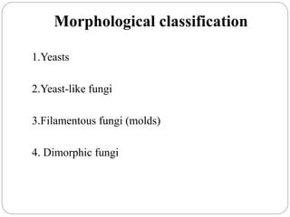 General characters of medically important fungi.pptx