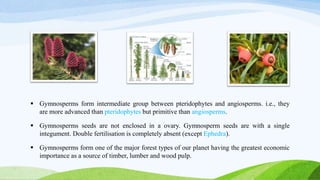 General Characters of Gymnosperms.pptx