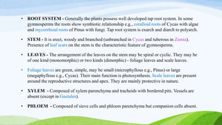 General Characters of Gymnosperms.pptx