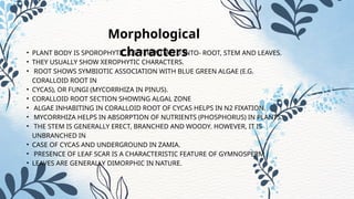 General characters of Gymnosperms...pptx