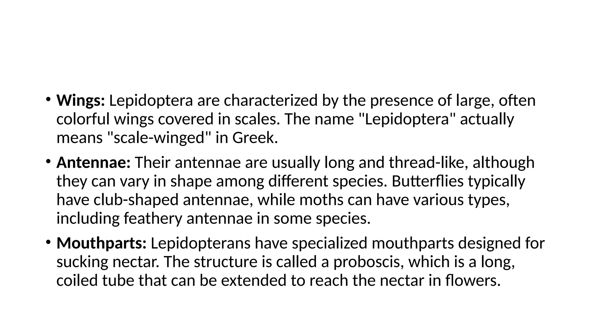 General Characters of Order Lepidoptera.pptx