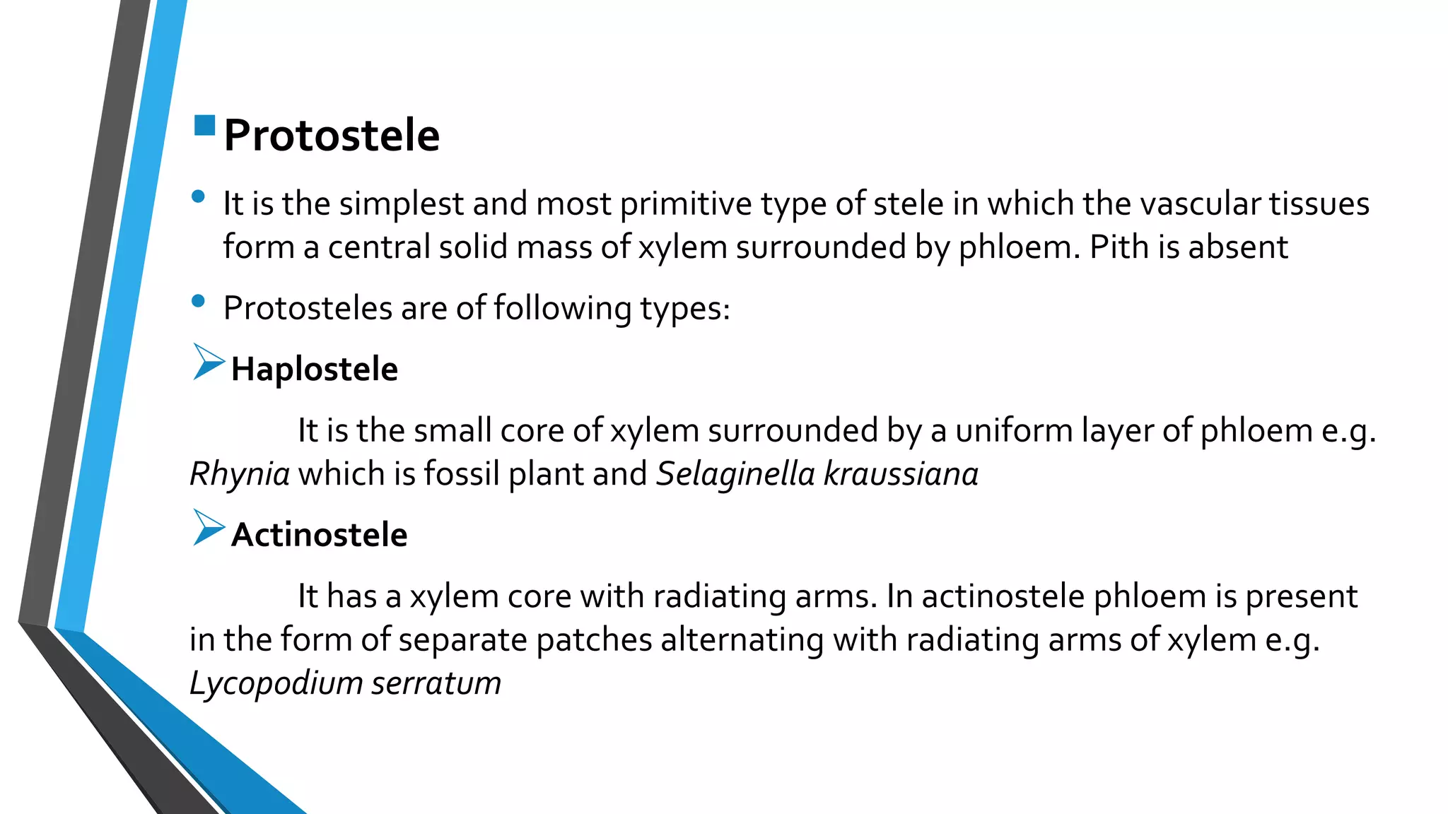 General characters of pteridophytes | PPTX