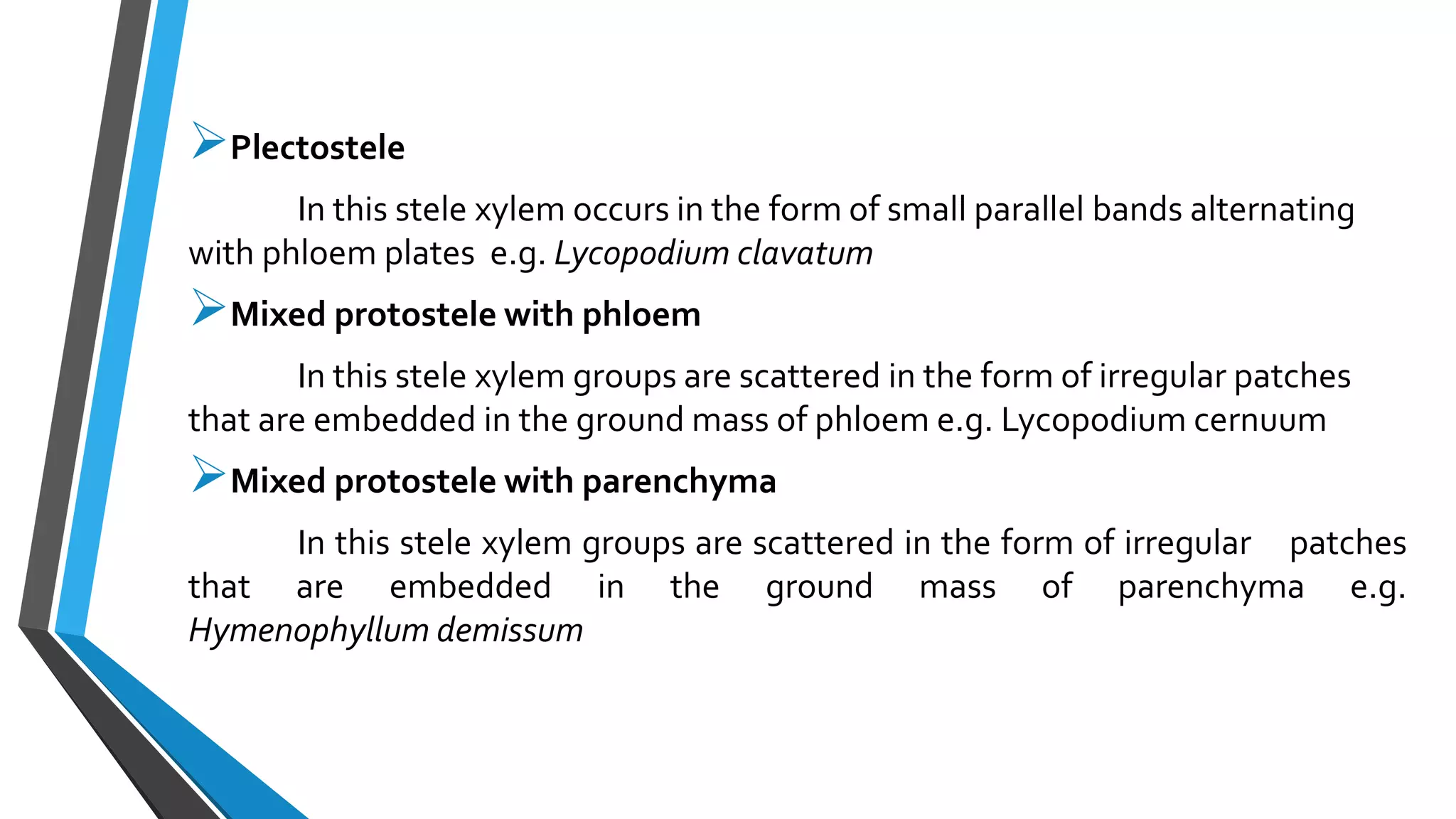 General characters of pteridophytes | PPTX