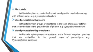 General characters of pteridophytes | PPTX