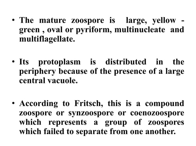 General characters of Xanthophyceae & Life cycle of Vaucheria SMG ...