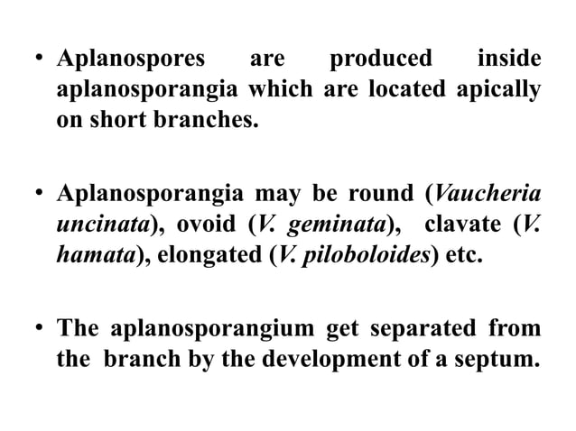 General characters of Xanthophyceae & Life cycle of Vaucheria SMG ...