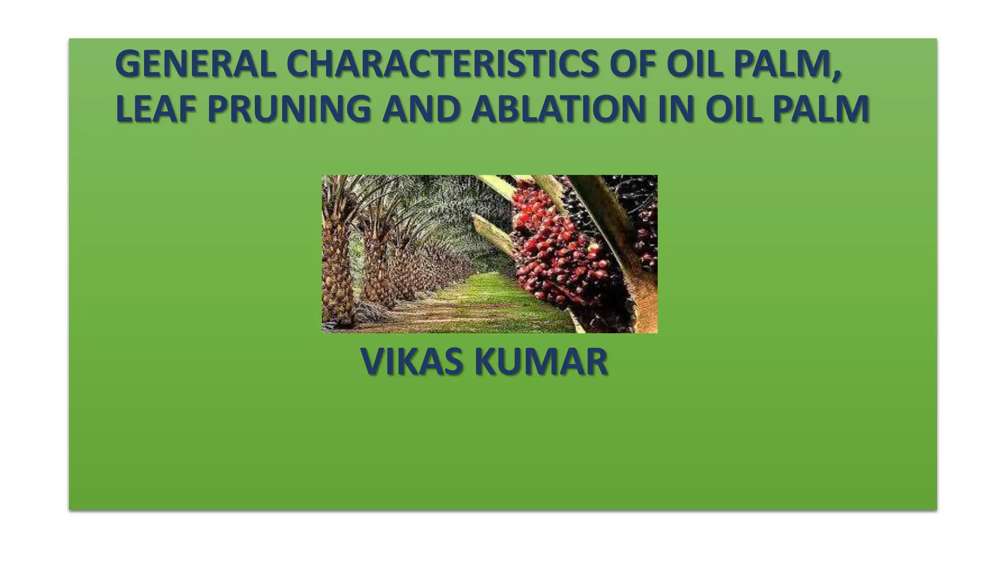 GENERAL CHAREACTERS OF OILPALM AND LEAF PRUNING AND ABLATION.pptx