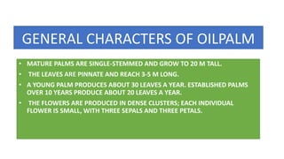 GENERAL CHAREACTERS OF OILPALM AND LEAF PRUNING AND ABLATION.pptx