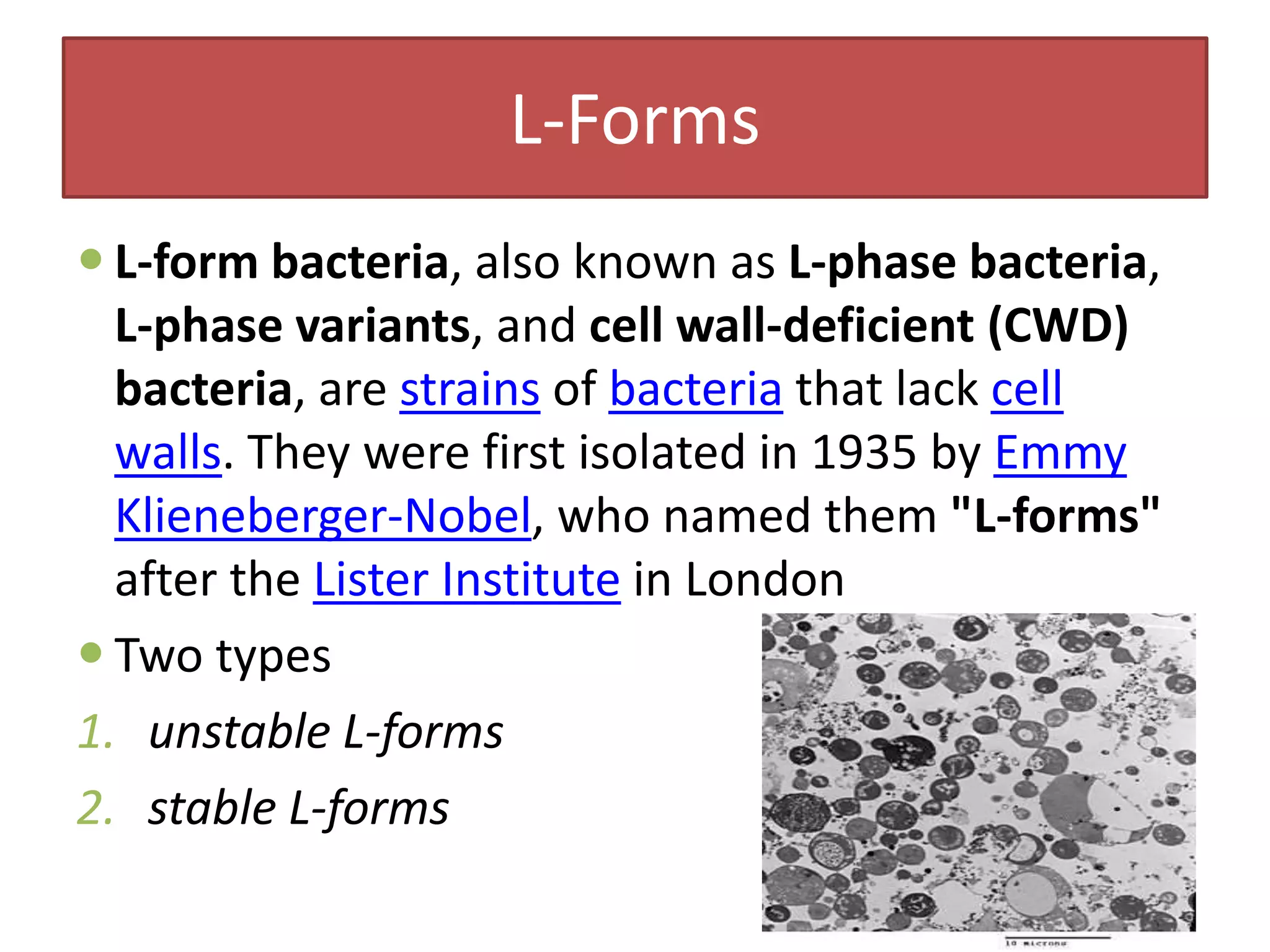 General charecteristics of bacteria | PPTX