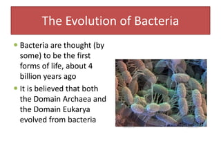 General charecteristics of bacteria | PPTX