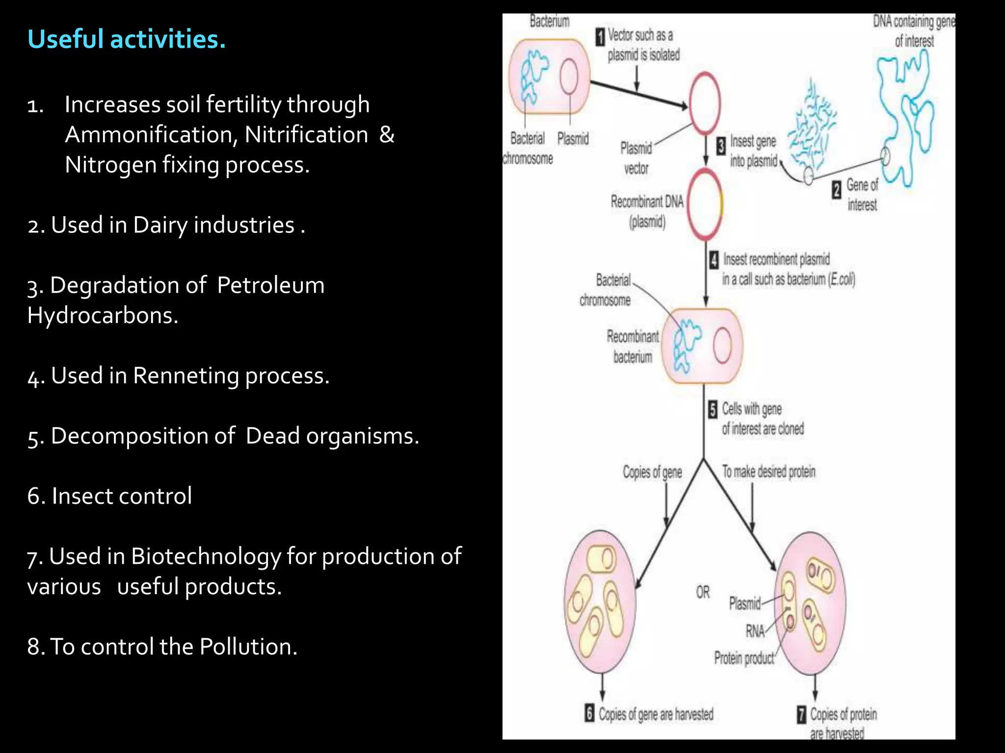 Eubacteria Overview Pptx Biological Sciences Science