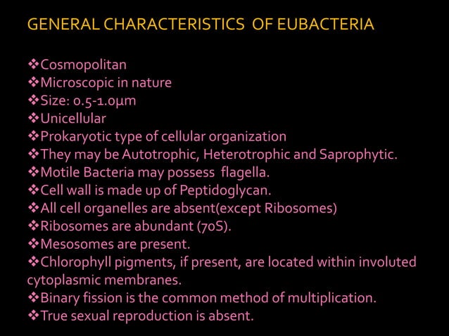 EUBACTERIA :OVERVIEW | PPTX | Biological Sciences | Science