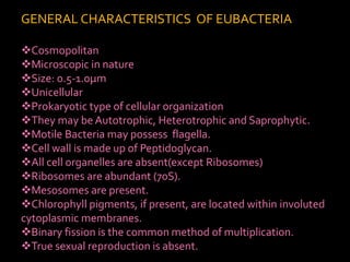 Eubacteria Characteristics