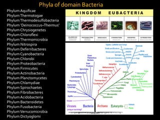 Eubacteria Kingdom Chart