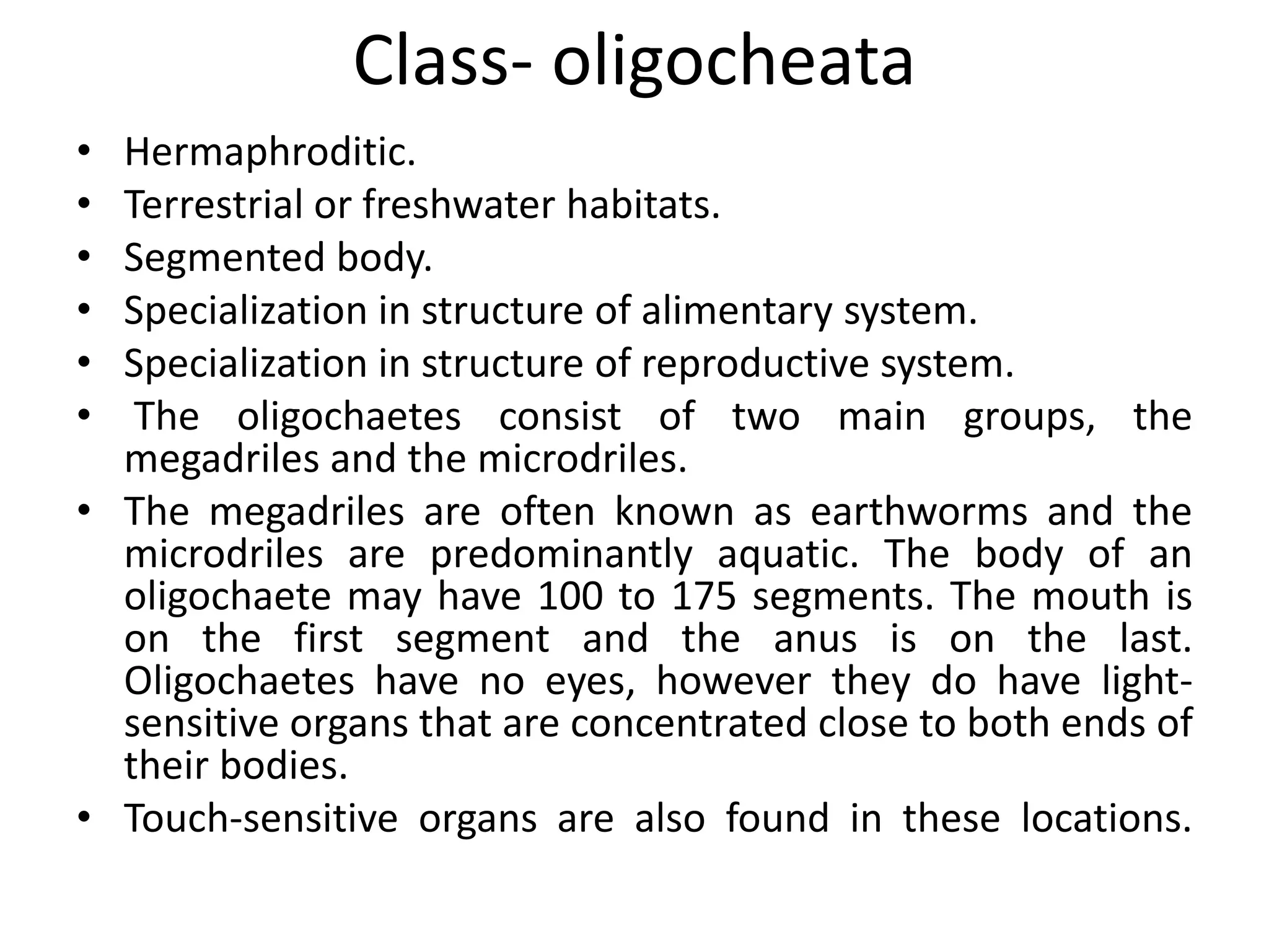 General charecter of phylum annelid.pptx