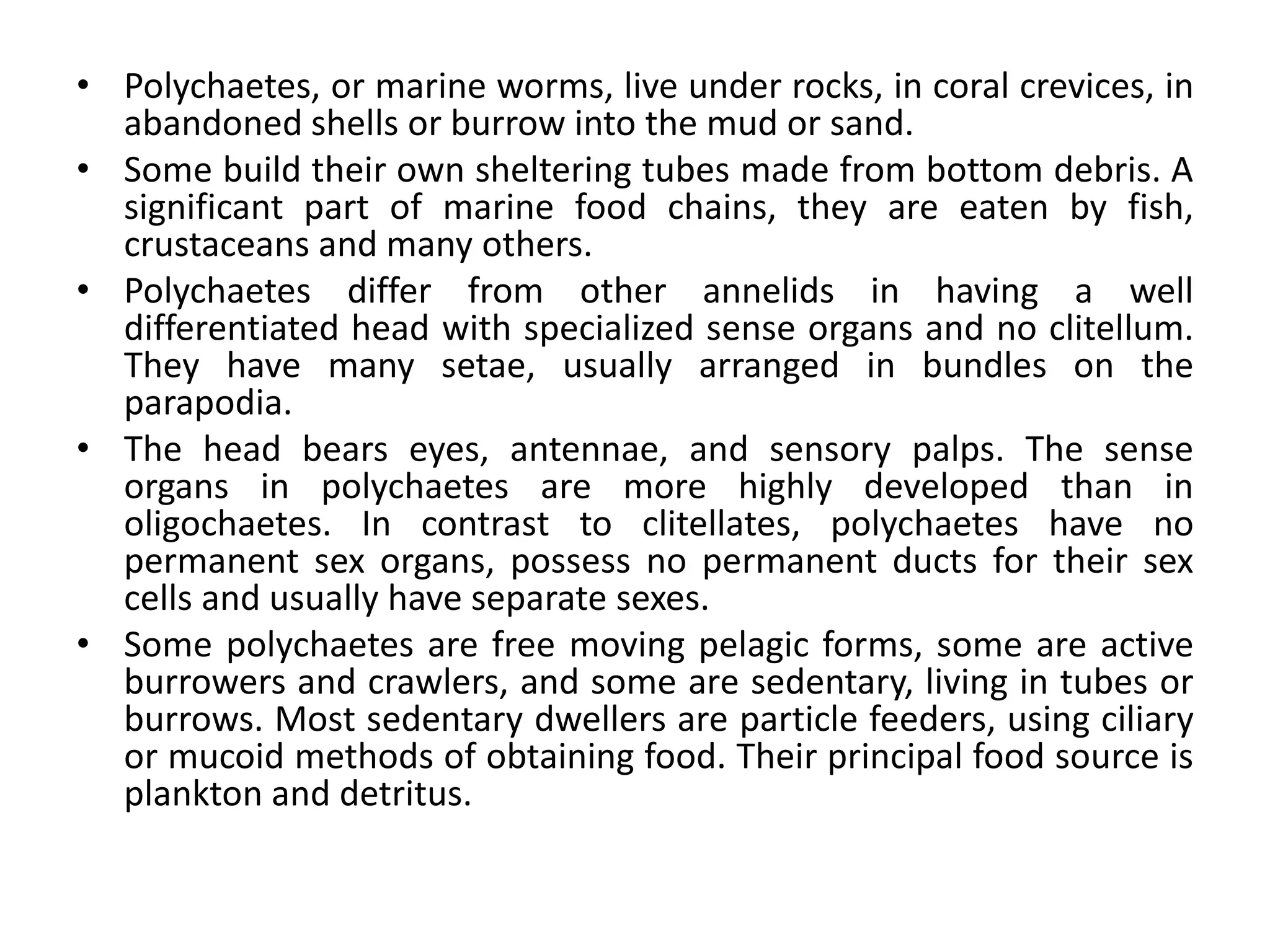 General charecter of phylum annelid.pptx