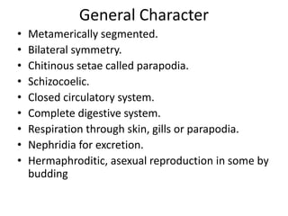 General charecter of phylum annelid.pptx