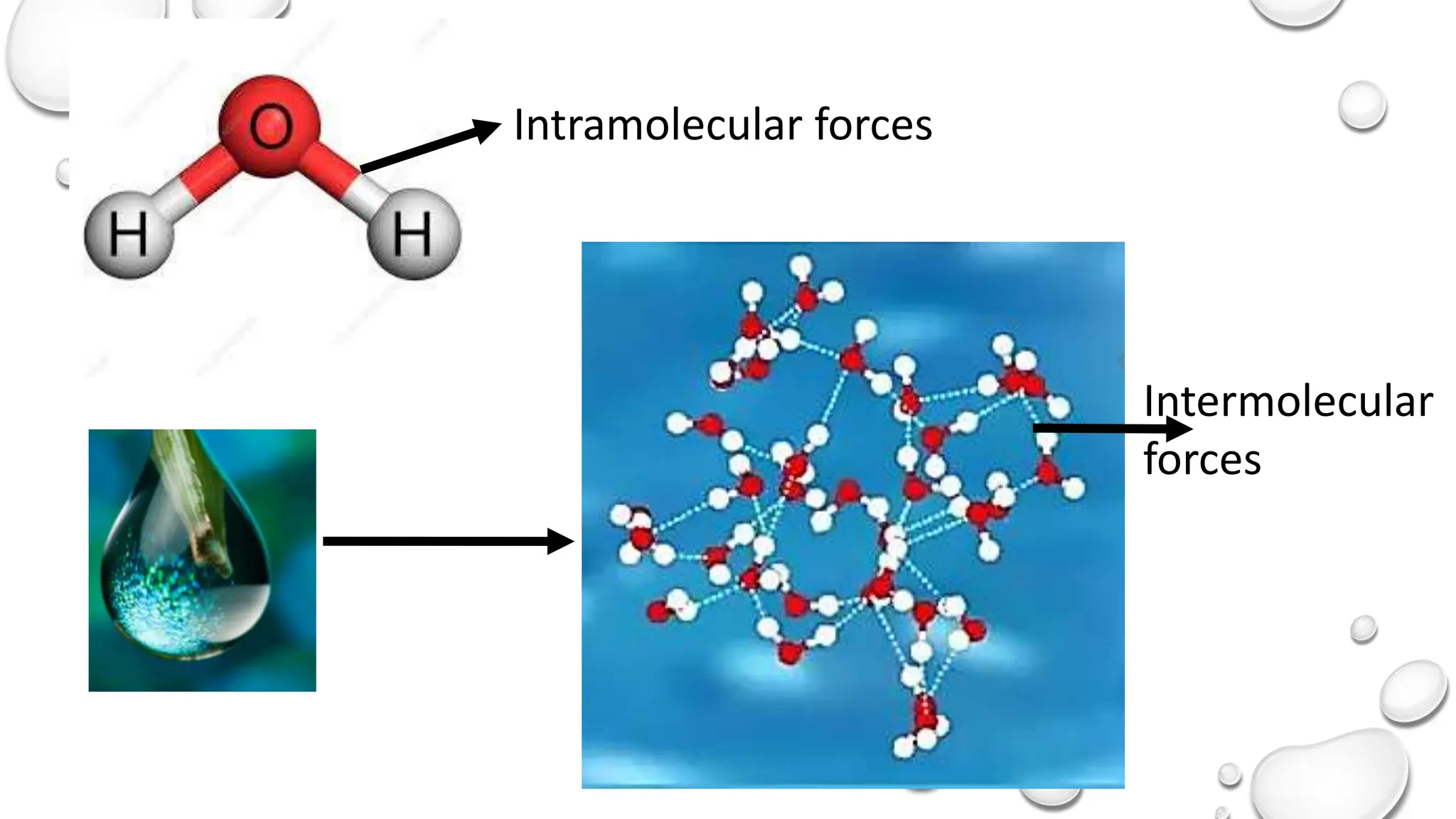 General Chemistry 2_IMF and Properties of Liquids.pptx
